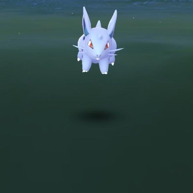 kolowa | GirlsReview.nl